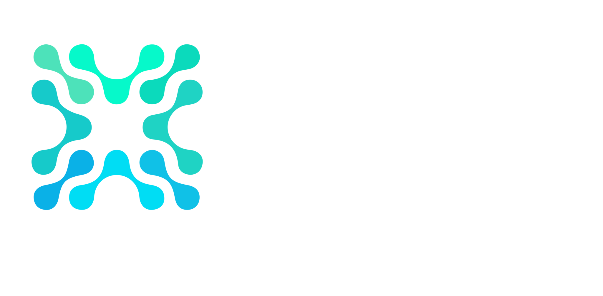 Inicio - LABI